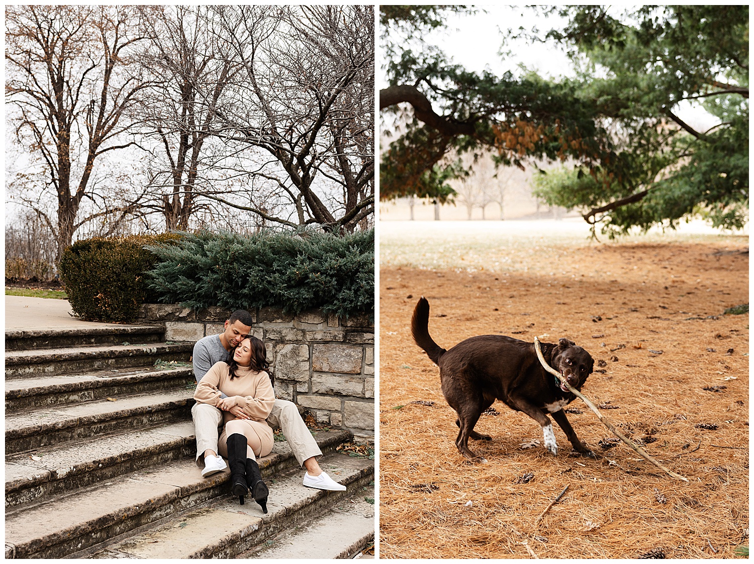 Kansas City Engagement Session with a Dog - Caitlyn Cloud Photo